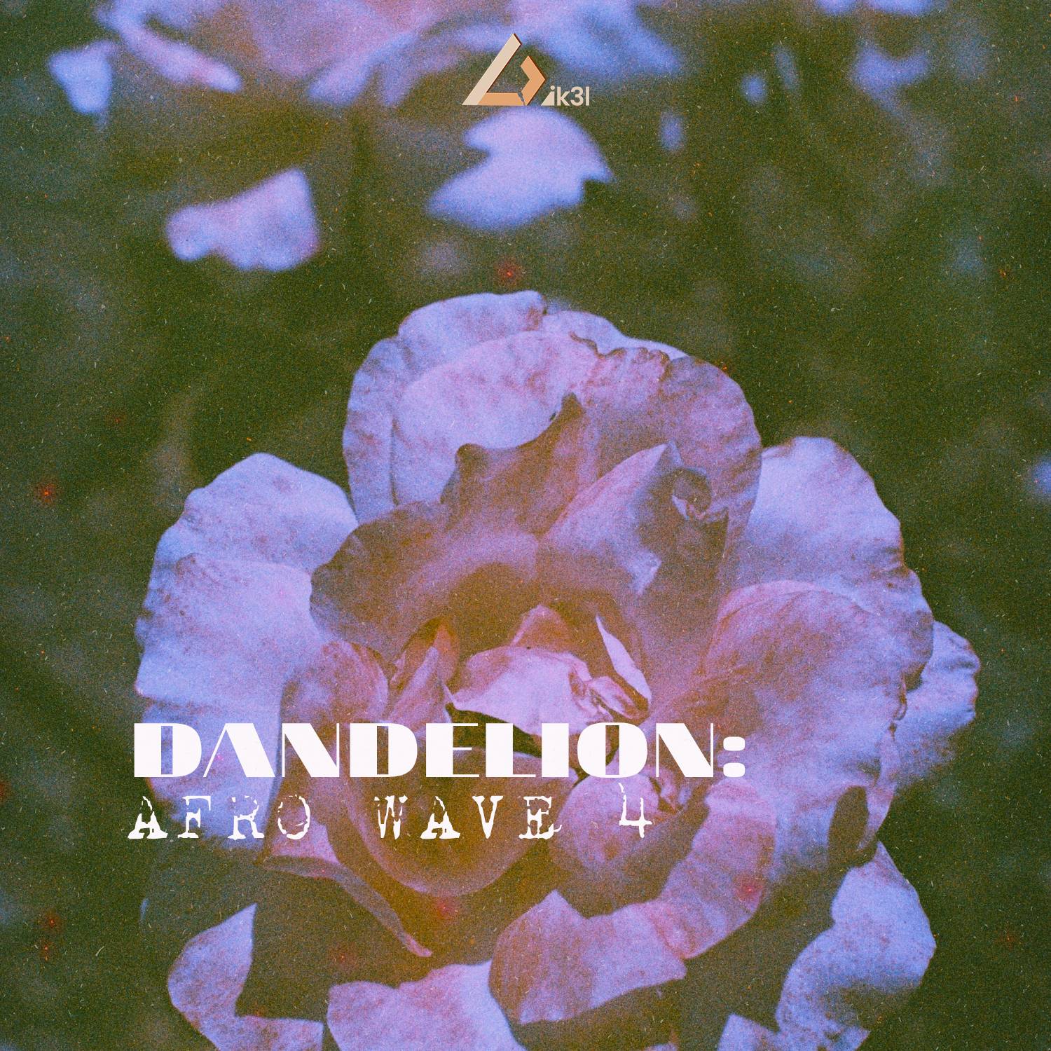Dik3l - Dandelion: Afro Wave IV Sample Pack - Slooply