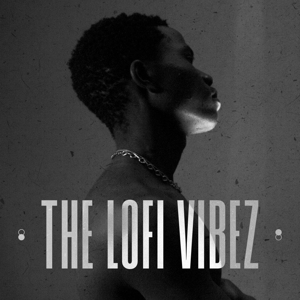 Diginoiz - The Lofi Vibez Sample Pack - Slooply