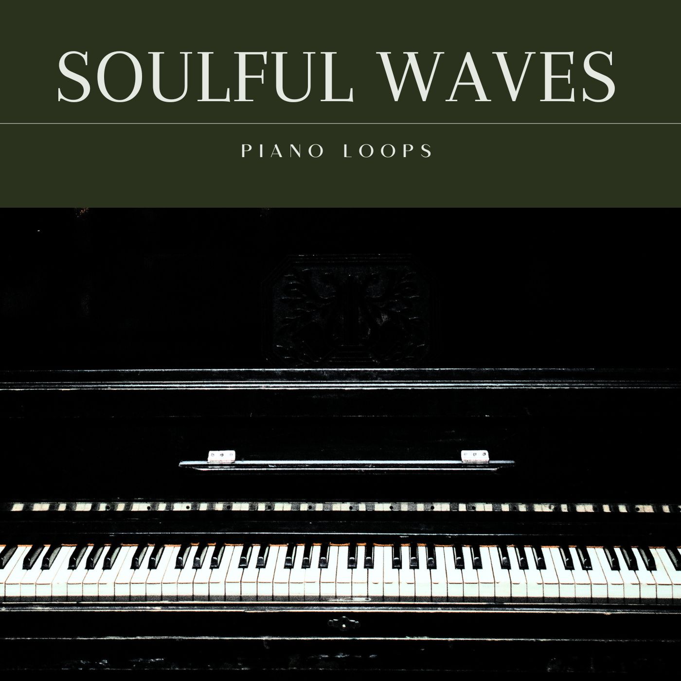 PrzystekRecords - SOULFUL WAVES Sample Pack - Slooply