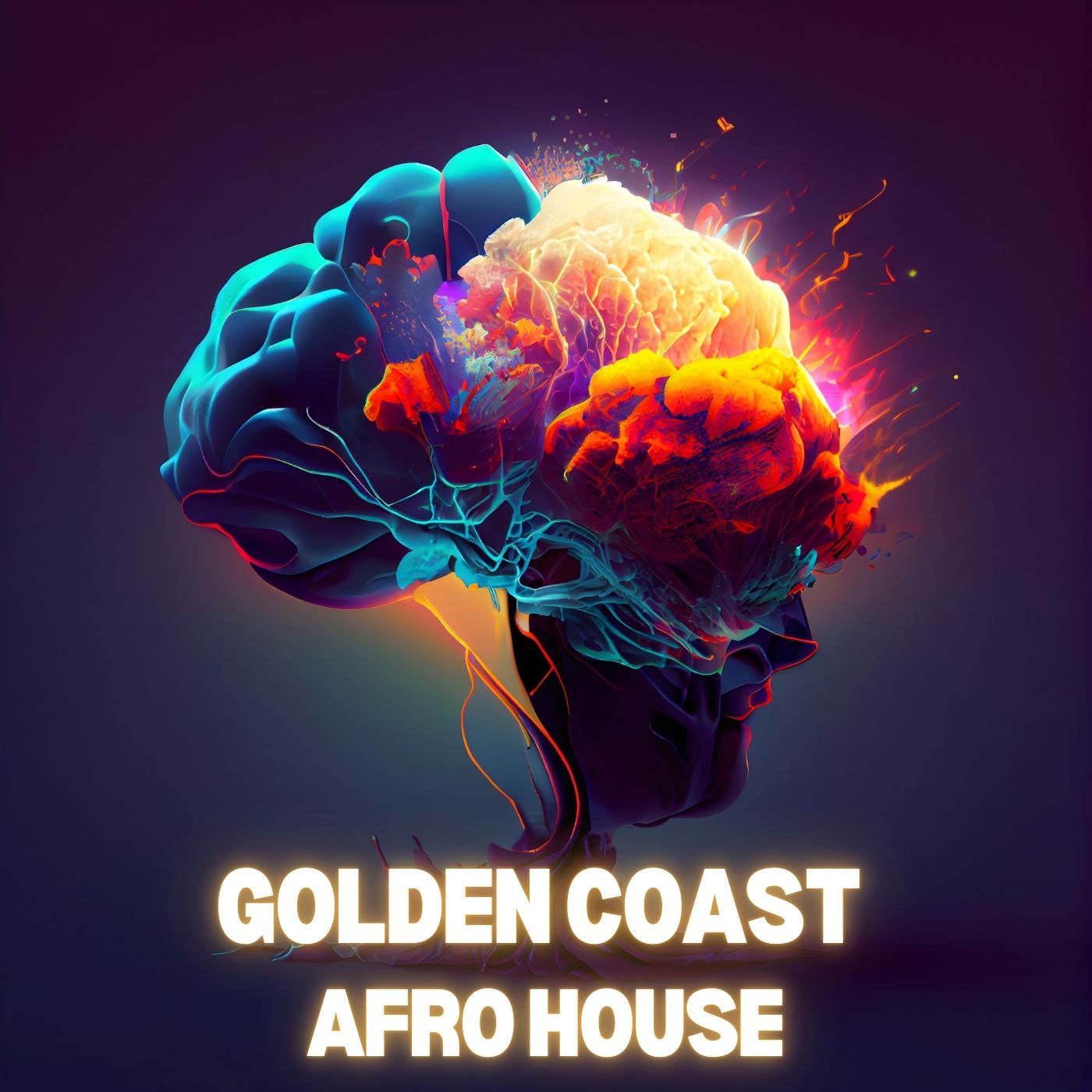Infinity Audio - Golden Coast - Afro House Samples Sample Pack - Slooply