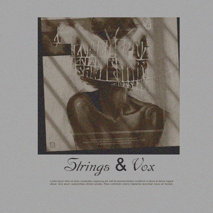 Nize - Strings & Vox Sample Pack - Slooply