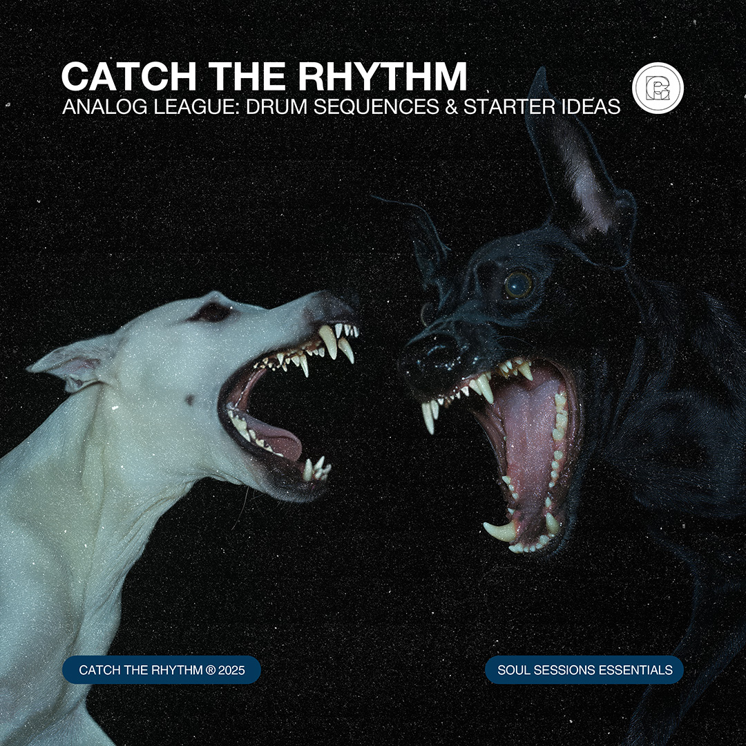 Catch The Rhythm - ANALOG LEAGUE: Drum Sequences & Starter Ideas Sample ...