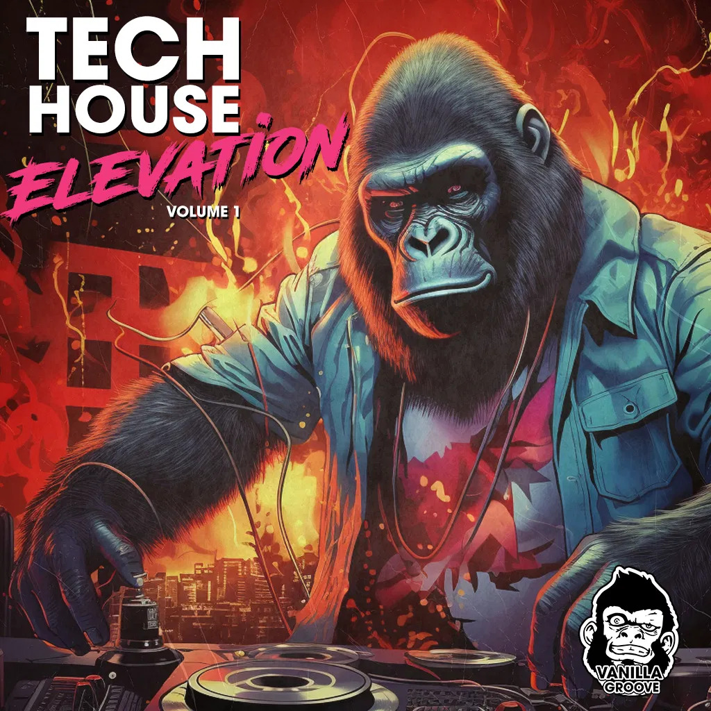 Vanilla Groove Studios - Tech House Elevation Vol 1 Sample Pack - Slooply