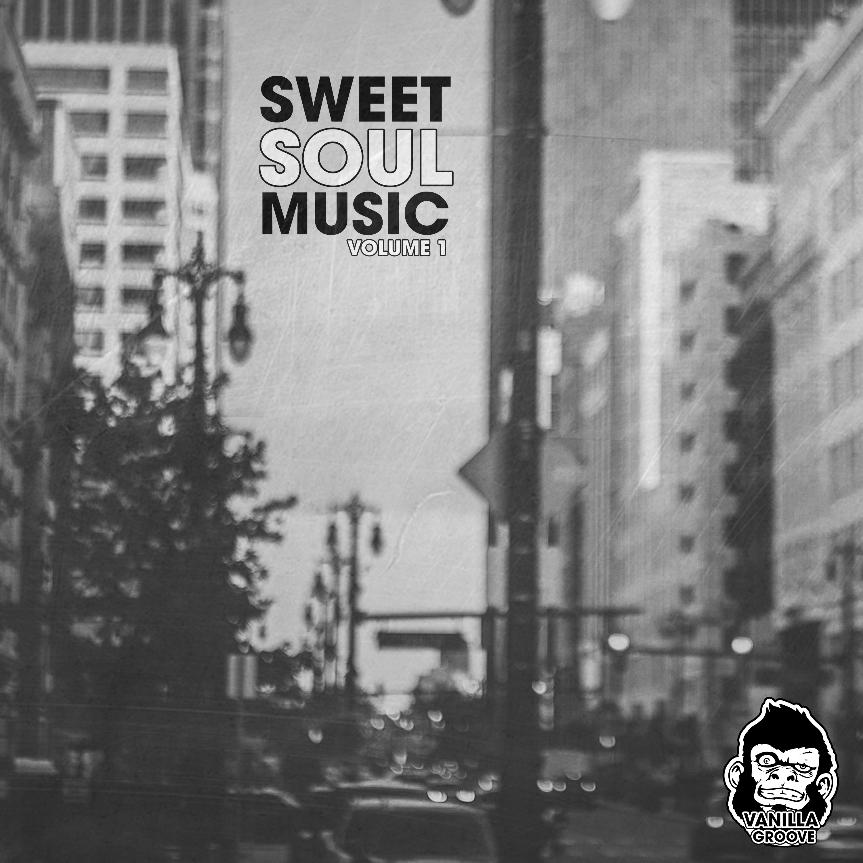 Vanilla Groove Studios - Sweet Soul Music 1 Sample Pack - Slooply