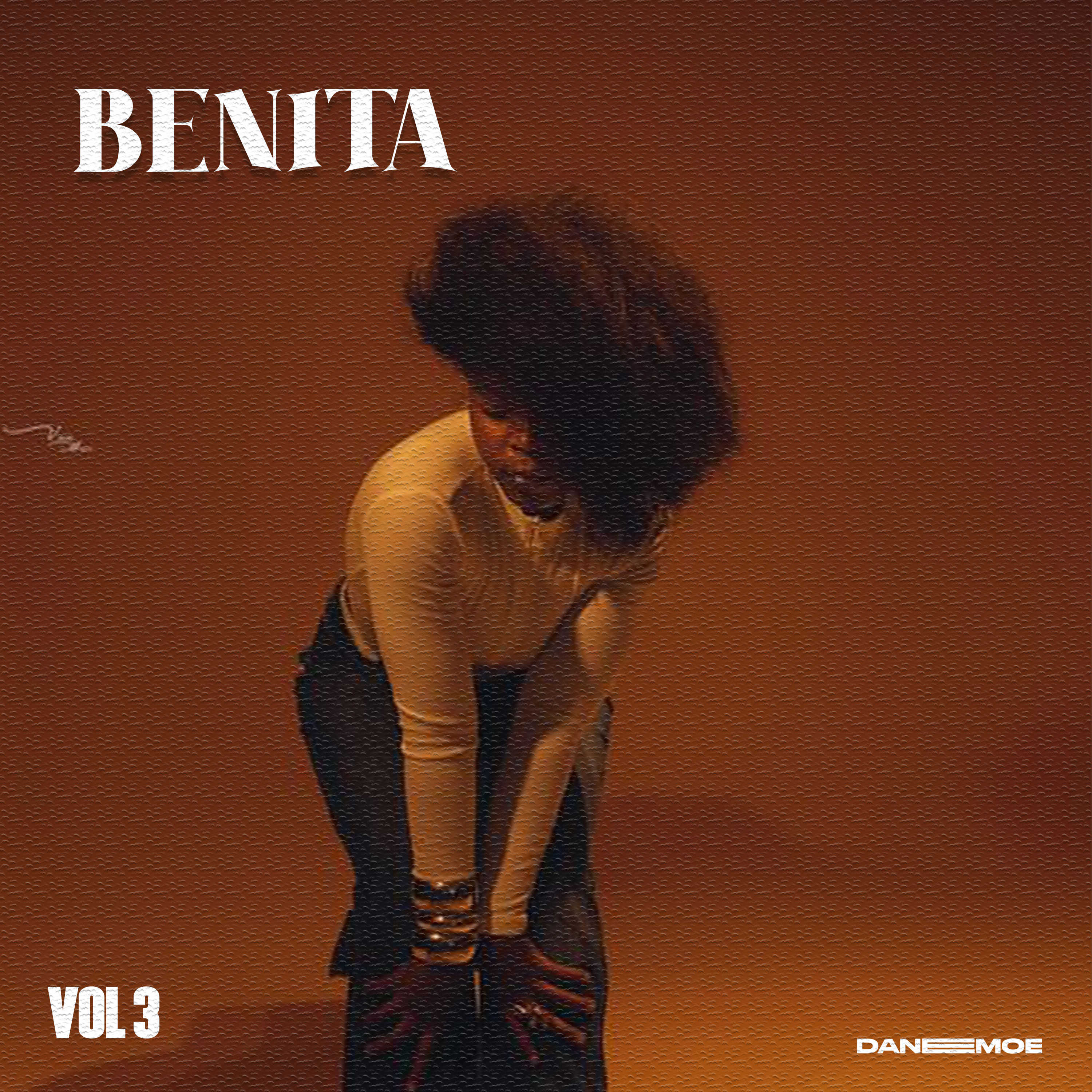 DaneeMoe - BENITA Burna Boy Guitar 3 Sample Pack - Slooply