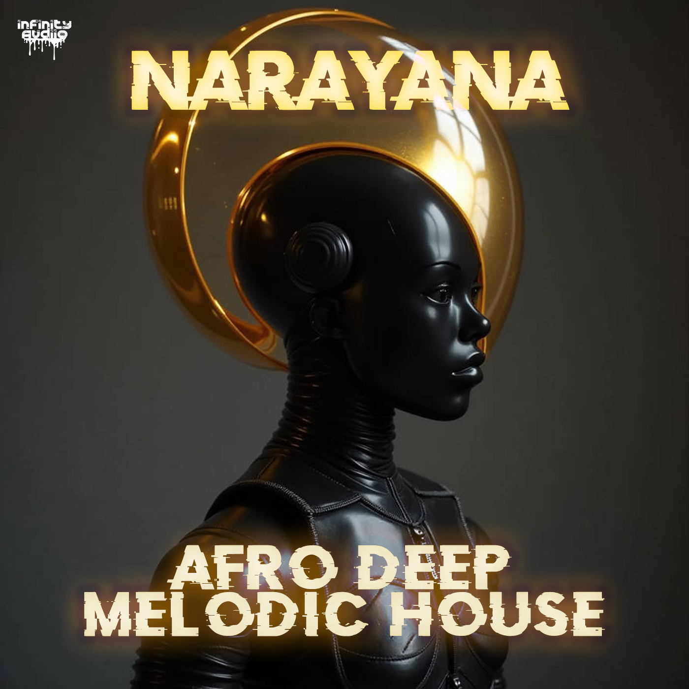 Infinity Audio - Narayana Sample Pack - Slooply