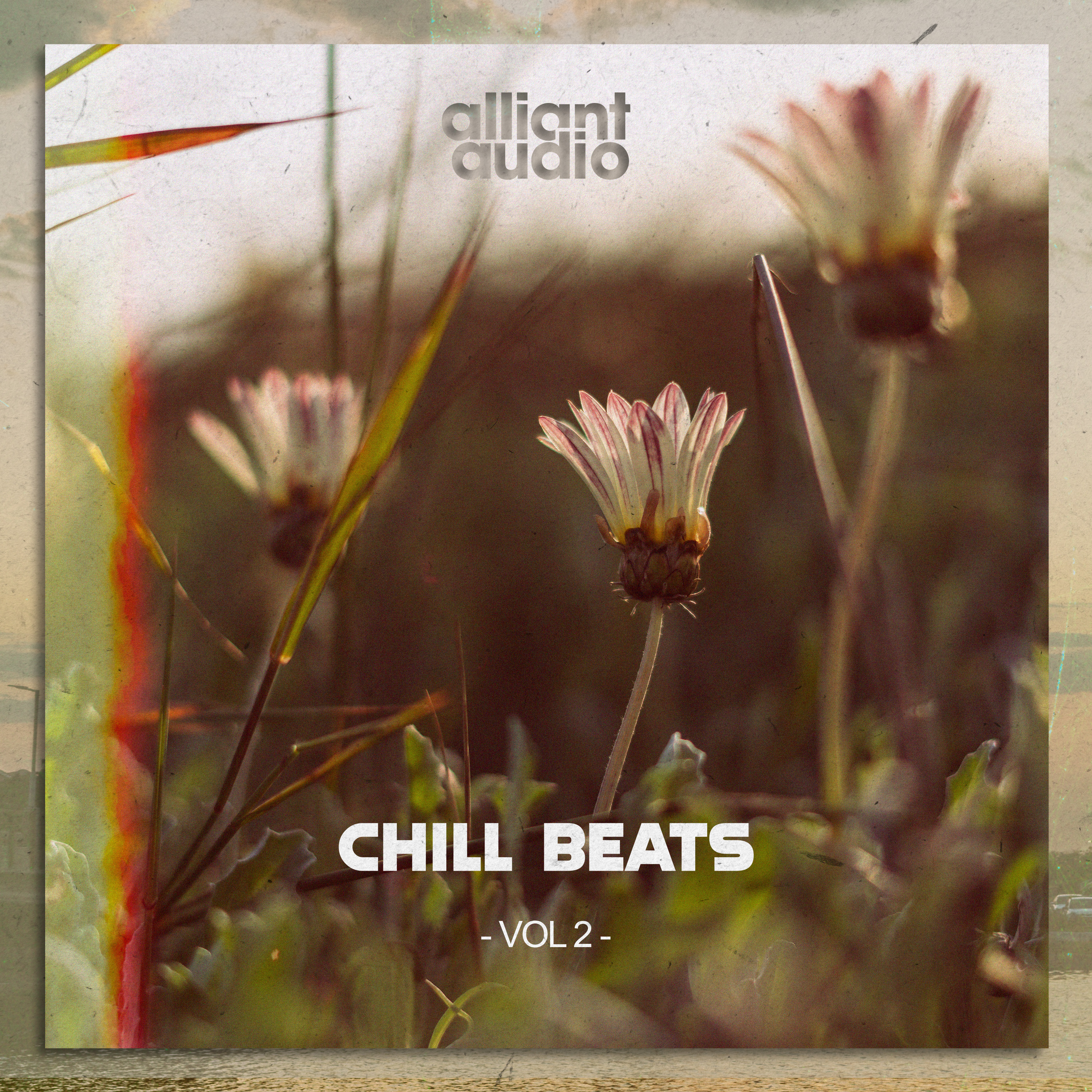 Alliant Audio - Chill Beats 2 Sample Pack - Slooply