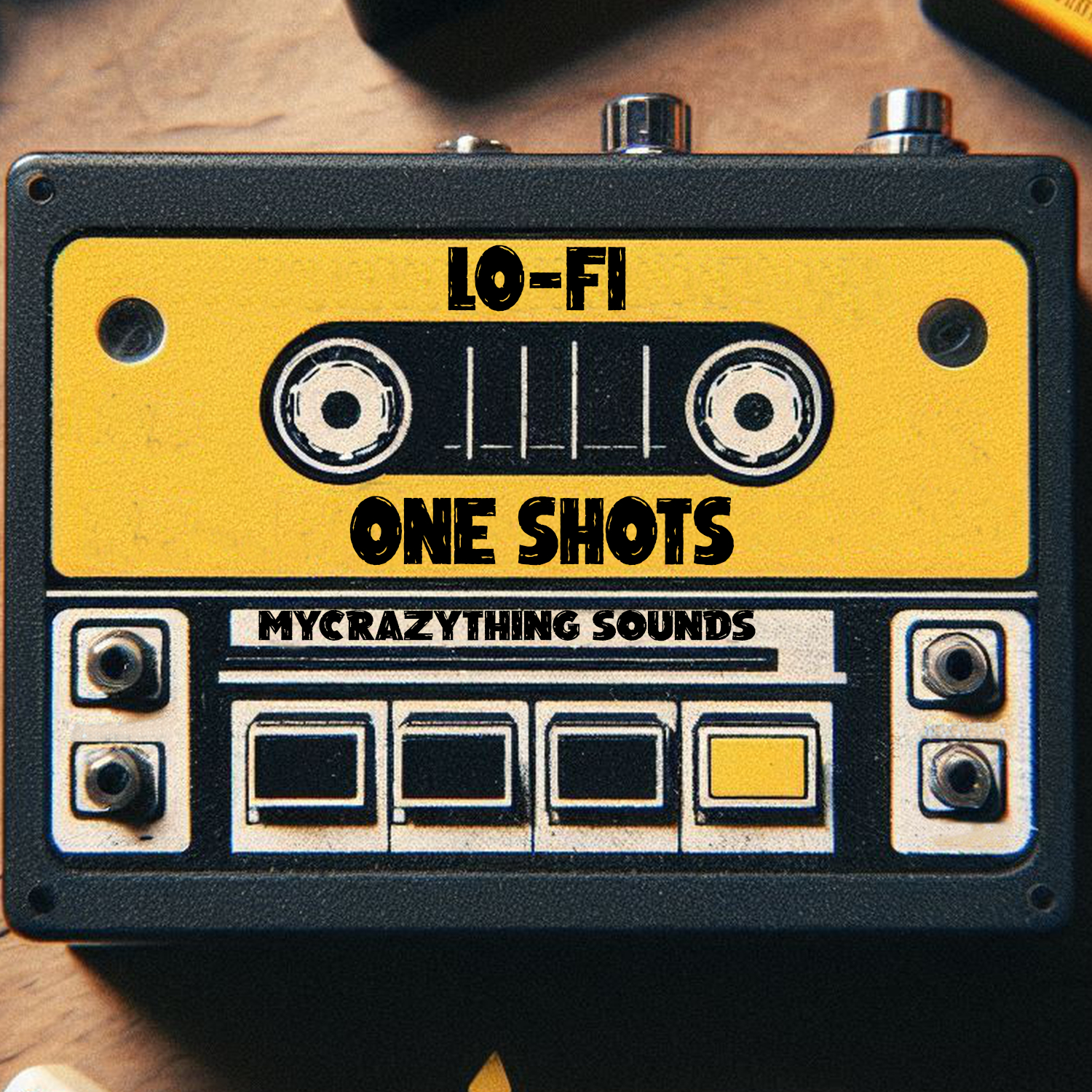 Mycrazything Records - Lo Fi One-Shots Sample Pack - Slooply