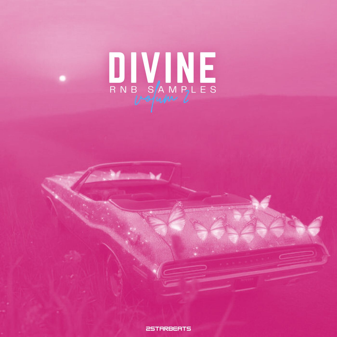Wave Cartel - Divine Vol. 2 Sample Pack - Slooply