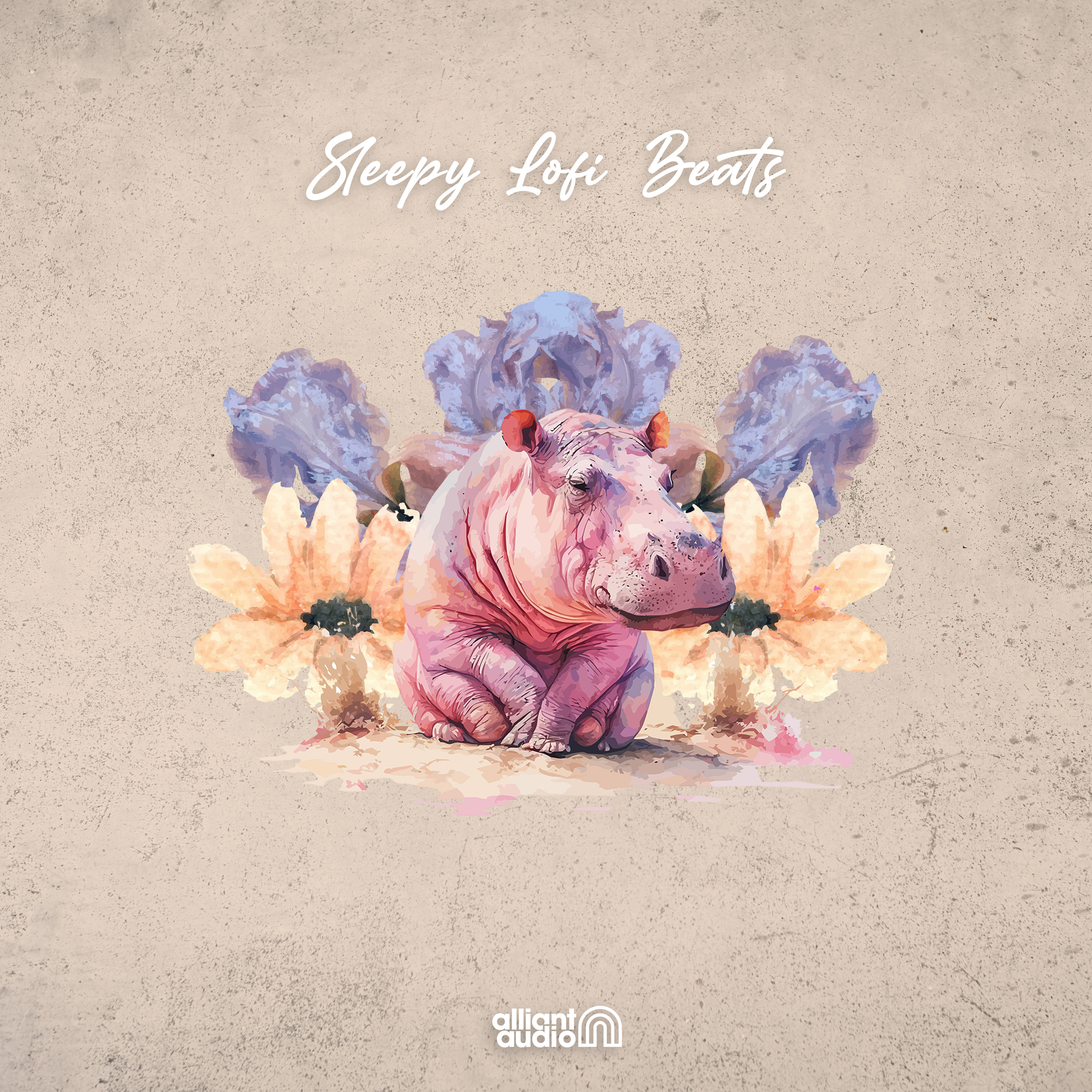 Alliant Audio - Sleepy Lofi Beats Sample Pack - Slooply