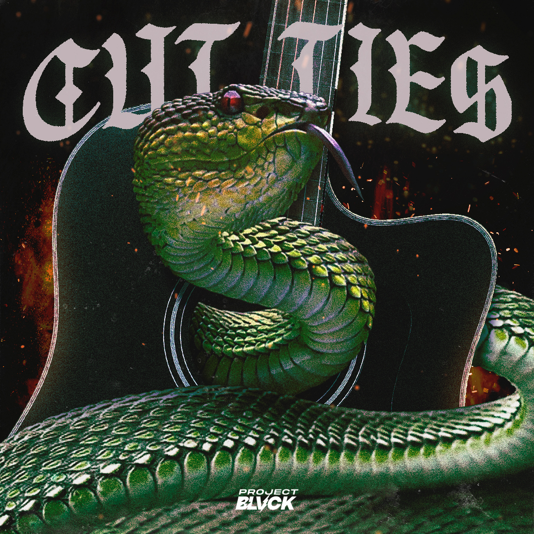 Project Blvck - Project Blvck Sample Pack - Slooply