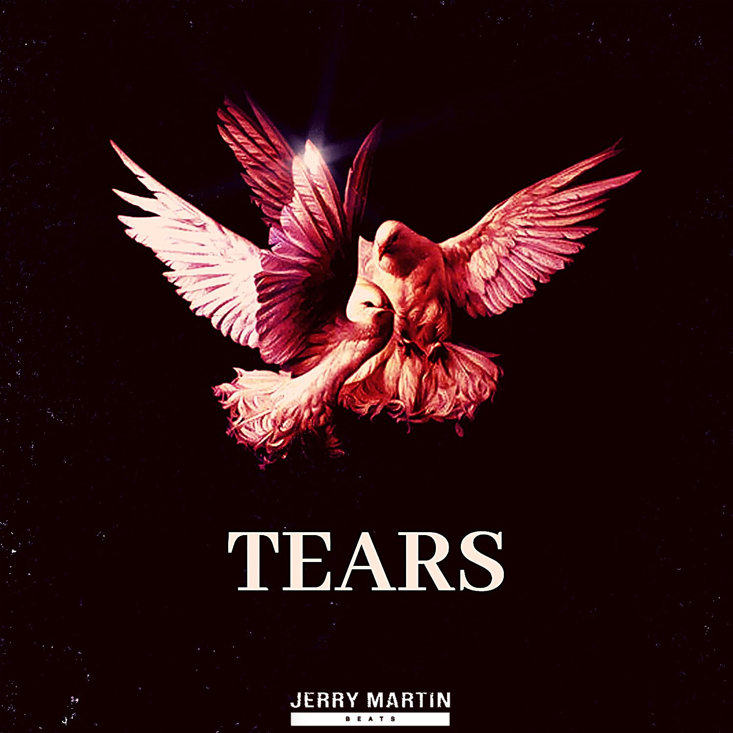Jerry Martin Beats - Many Tears Sample Pack - Slooply