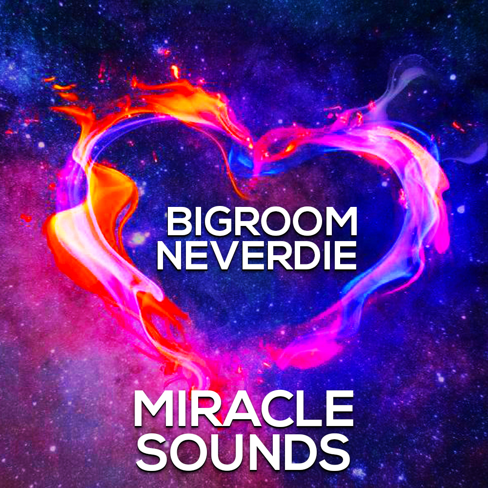 Miracle Sounds - BIGROOM NEVERDIE Sample Pack - Slooply