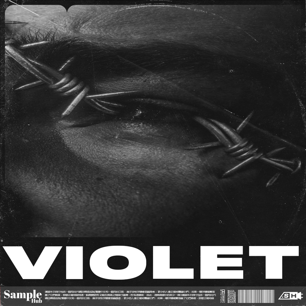 Sample Hub - THE VIOLET Sample Pack - Slooply