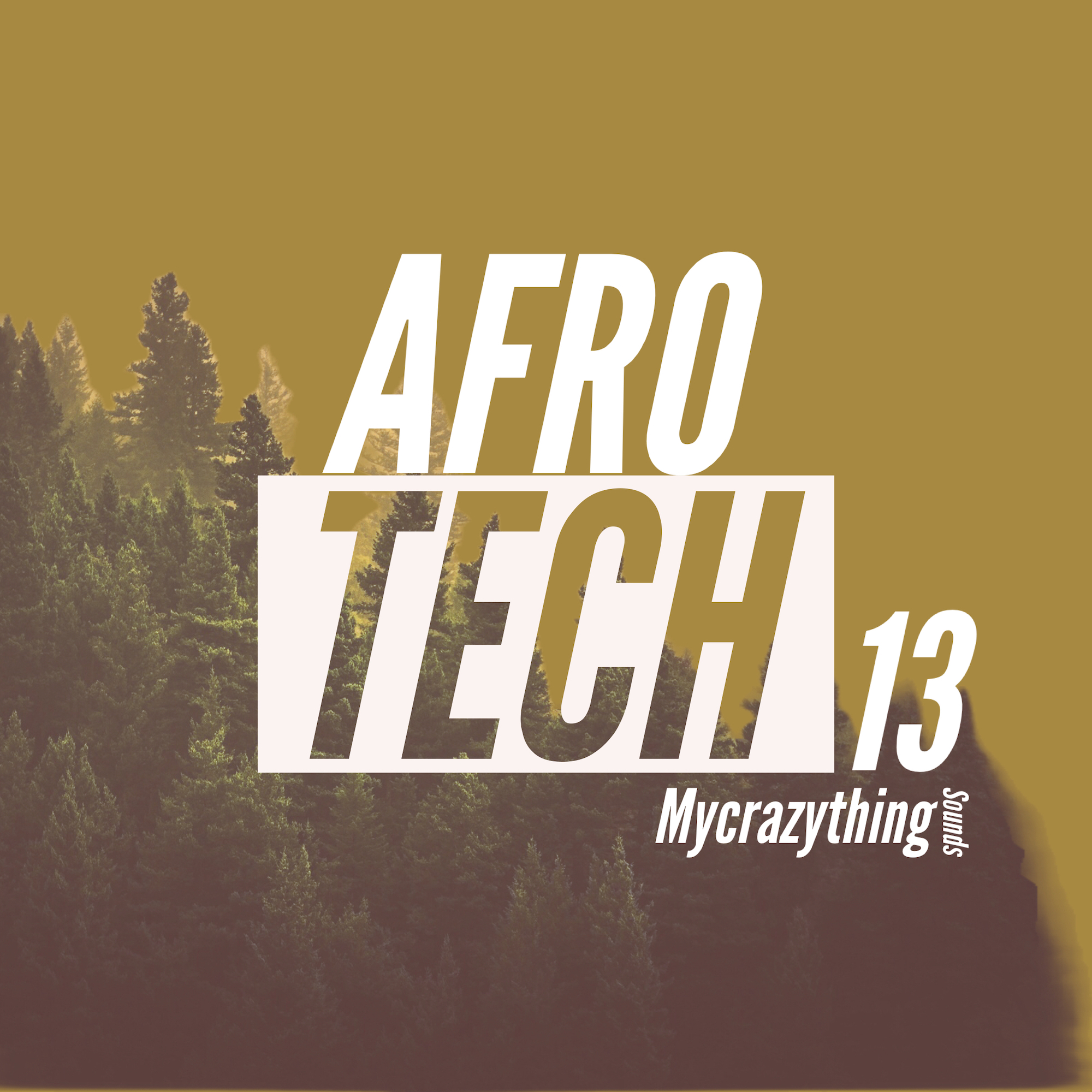 Mycrazything Records - Afro Tech 13 Sample Pack - Slooply