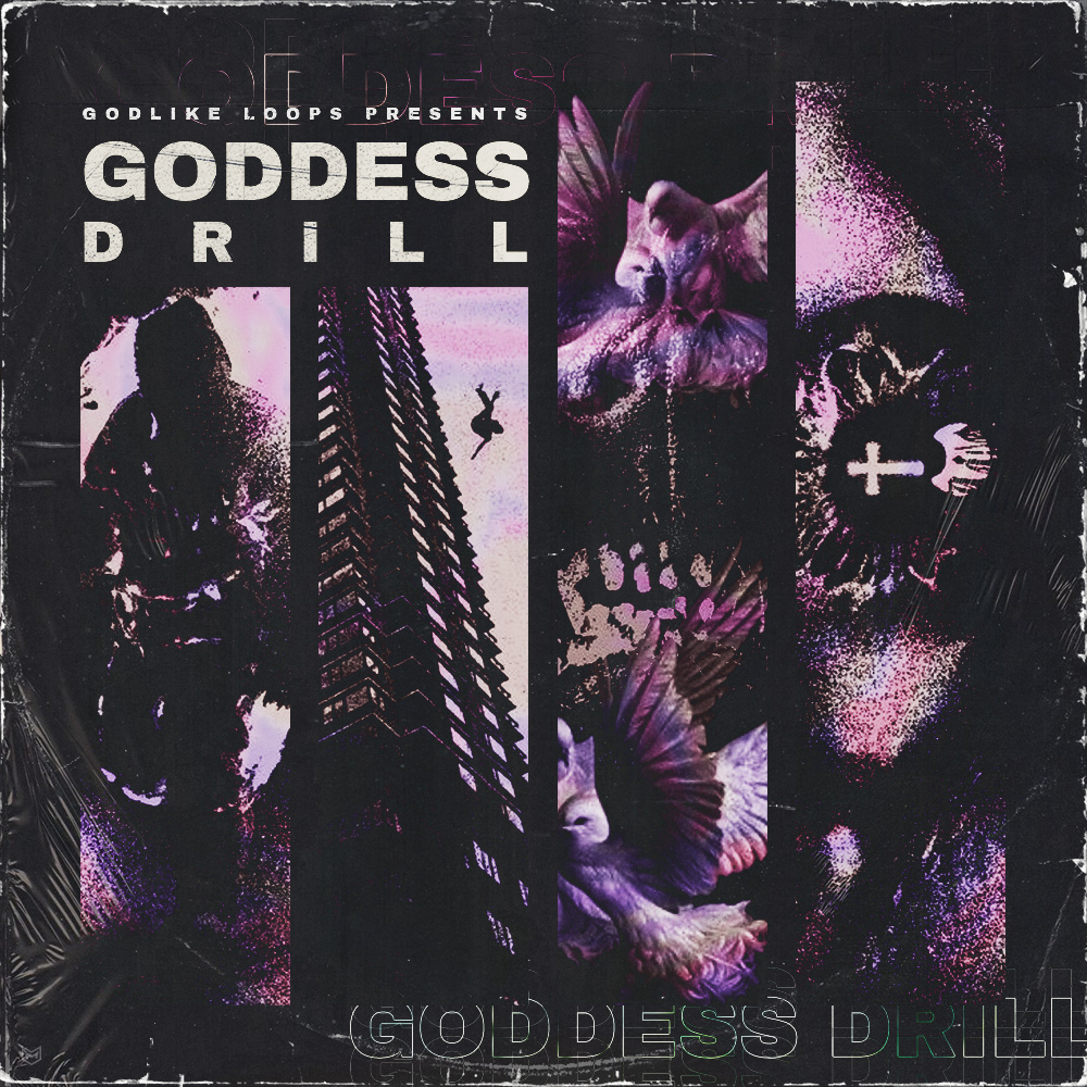 Godlike Loops - Goddess Drill Sample Pack - Slooply
