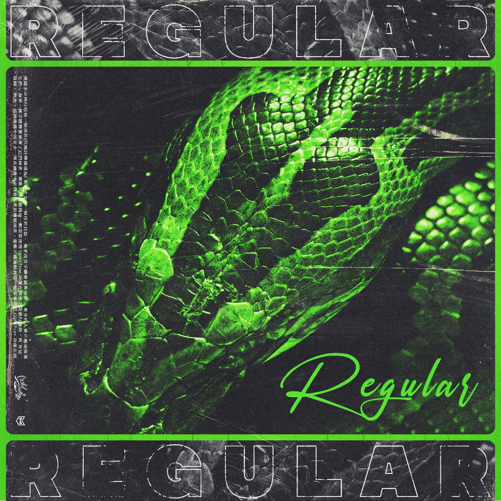 Cartel Loops - Regular Sample Pack - Slooply