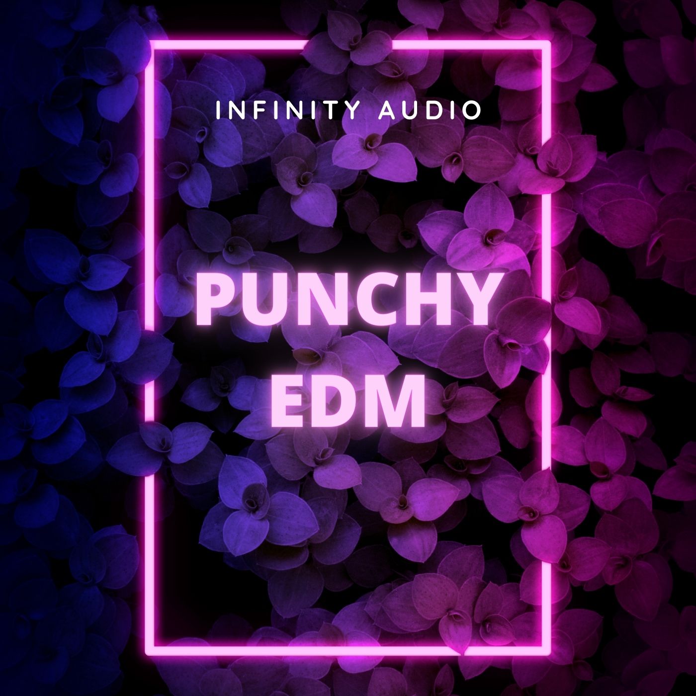 Infinity Audio - Punchy EDM Sample Pack - Slooply
