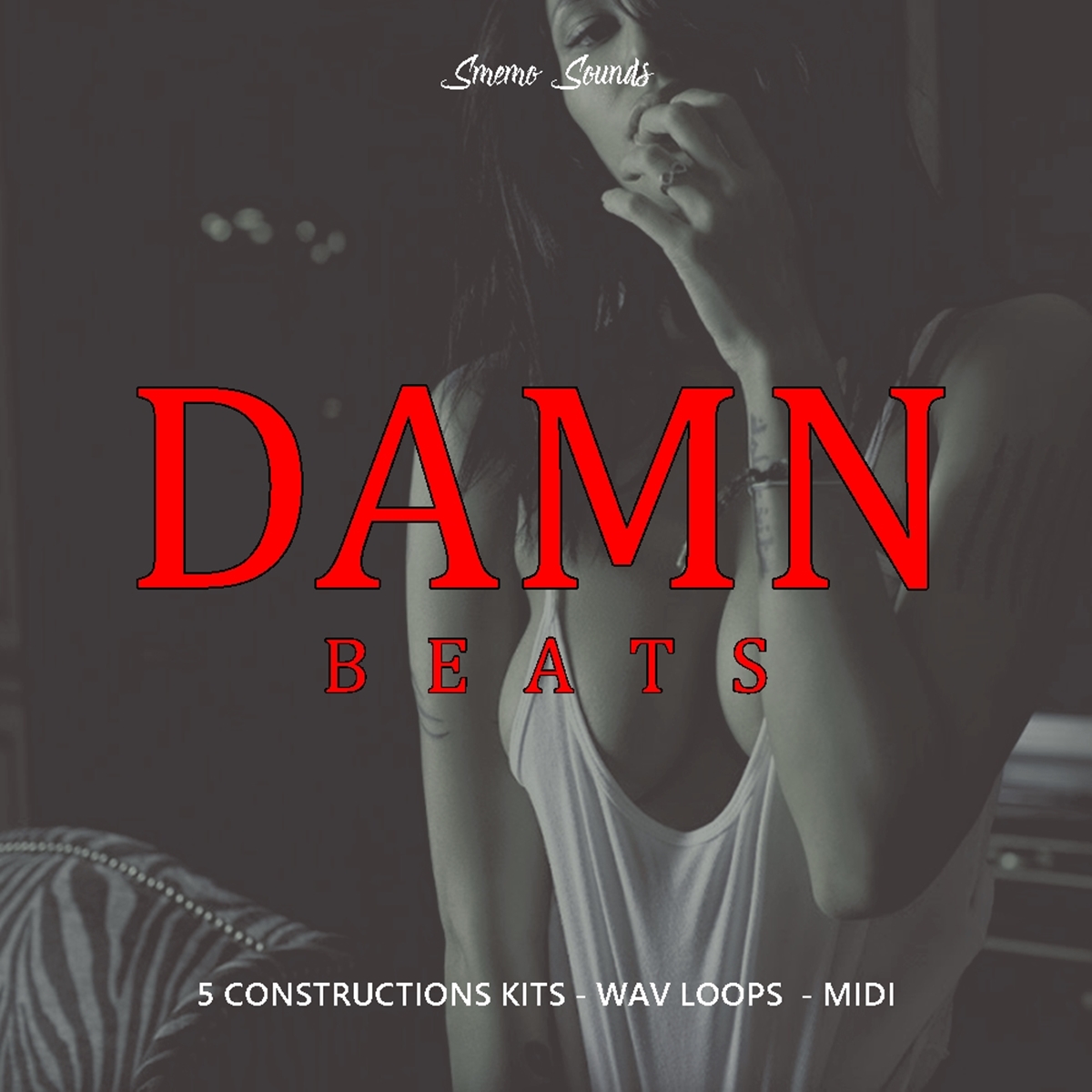 Smemo Sounds - DAMN BEATS Sample Pack - Slooply