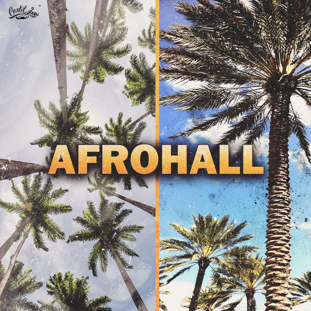Cartel Loops - Afrohall Sample Pack - Slooply