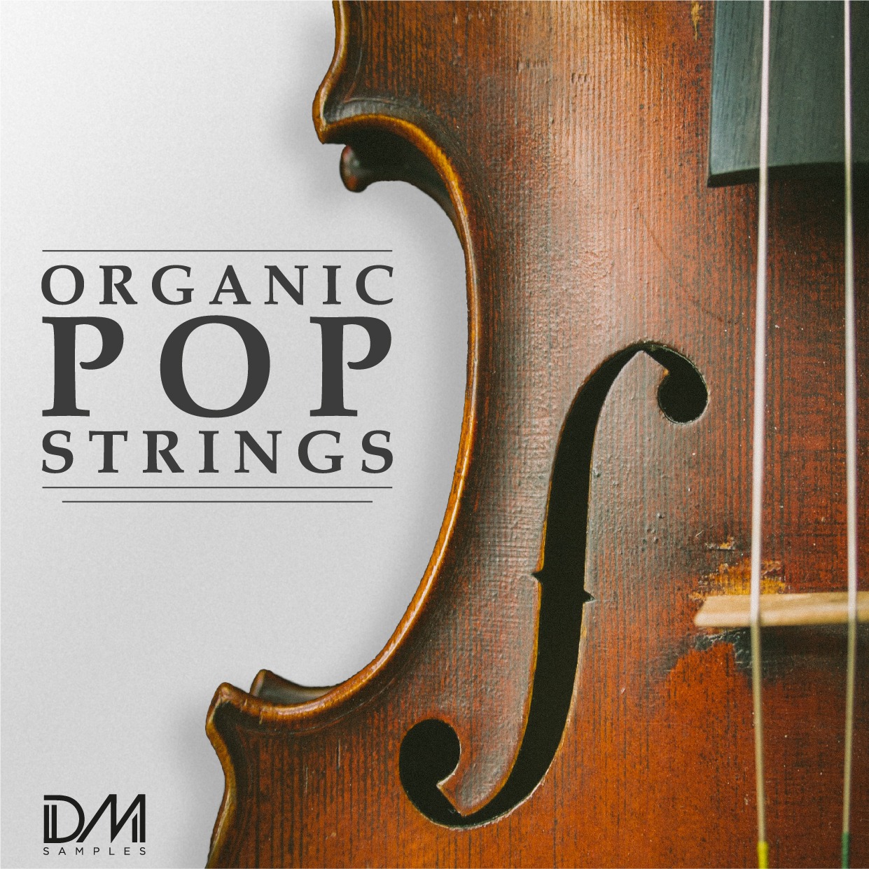 DM Samples - Organic Pop Strings Sample Pack - Slooply