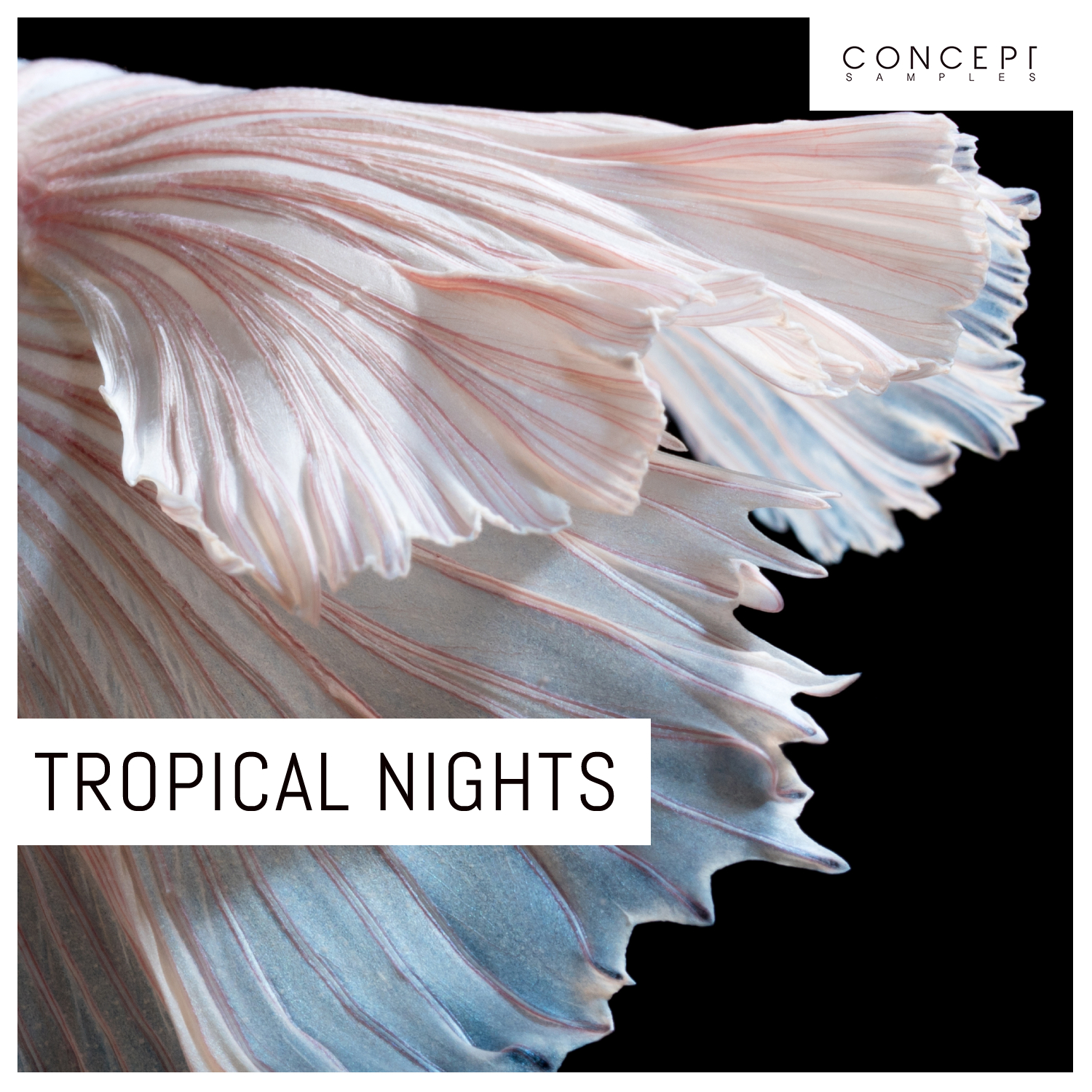 Audio Masters - Tropical Nights Sample Pack - Slooply
