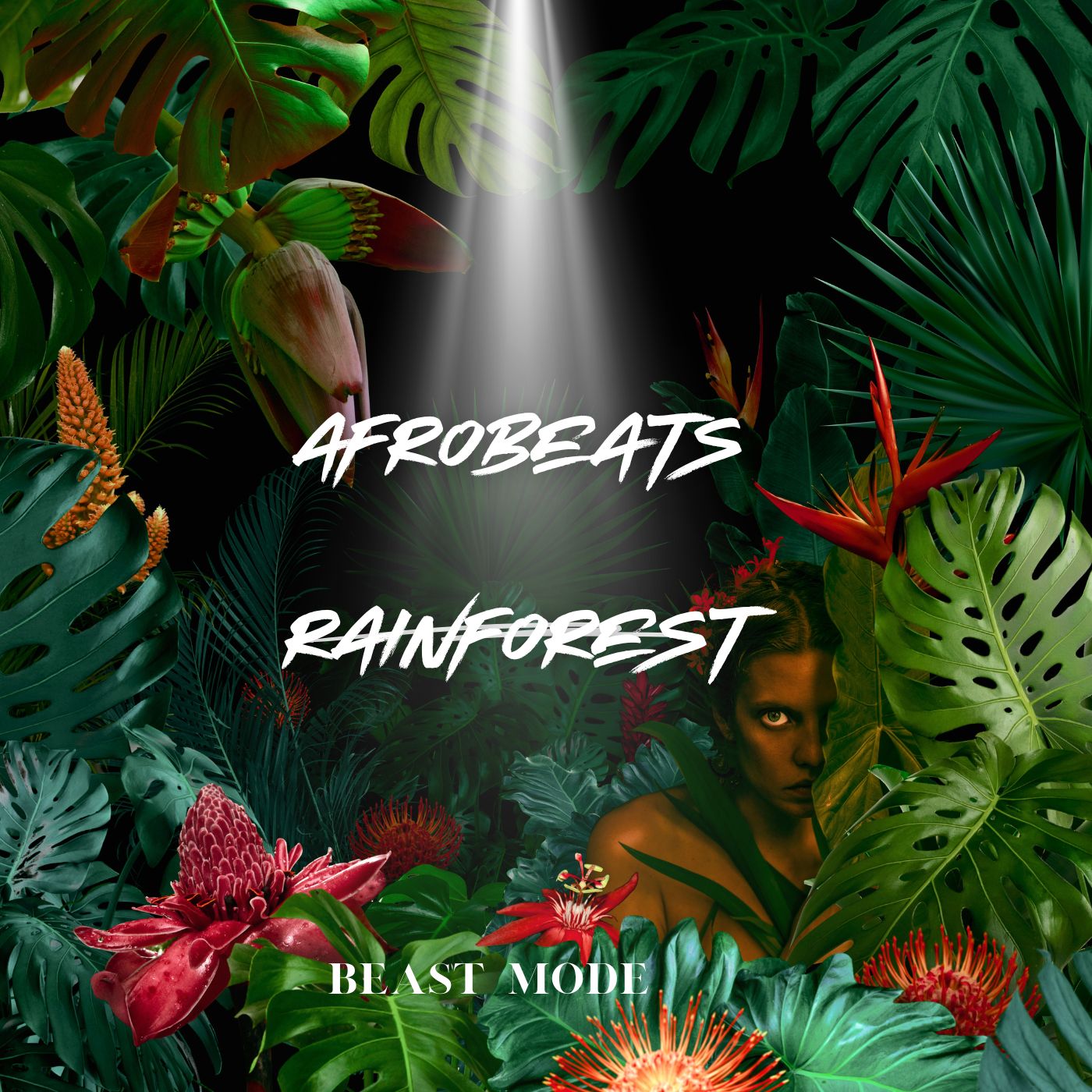 Creative Sounds - Afrobeats RainForest Sample Pack - Slooply