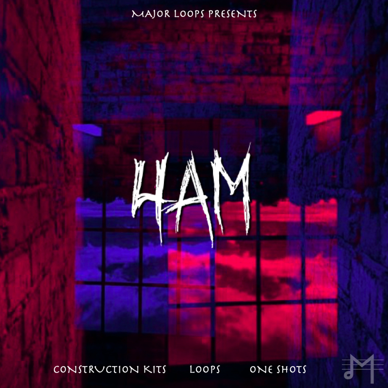 Major Loops - 4am Sample Pack - Slooply