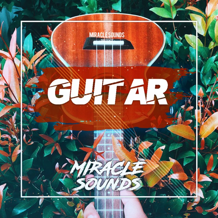 Miracle Sounds - Guitar Sampe Pack Sample Pack - Slooply