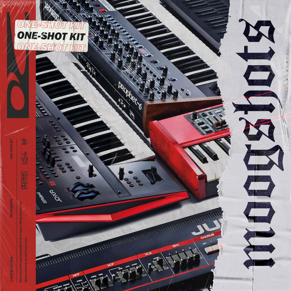 Cartel Loops - Moog Shots (One-Shot Kit) Sample Pack - Slooply