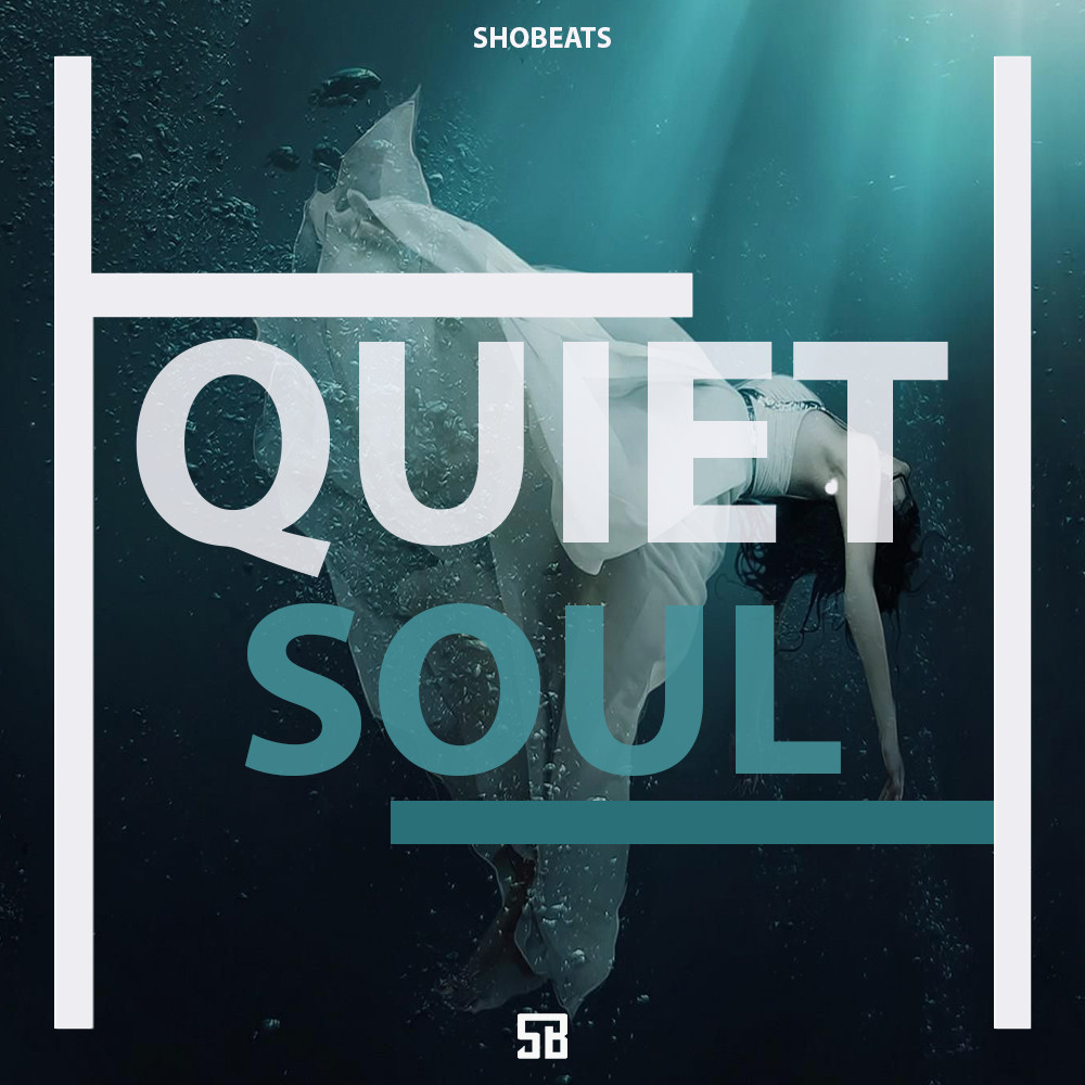 SHOBEATS - QUIET SOUL Sample Pack - Slooply