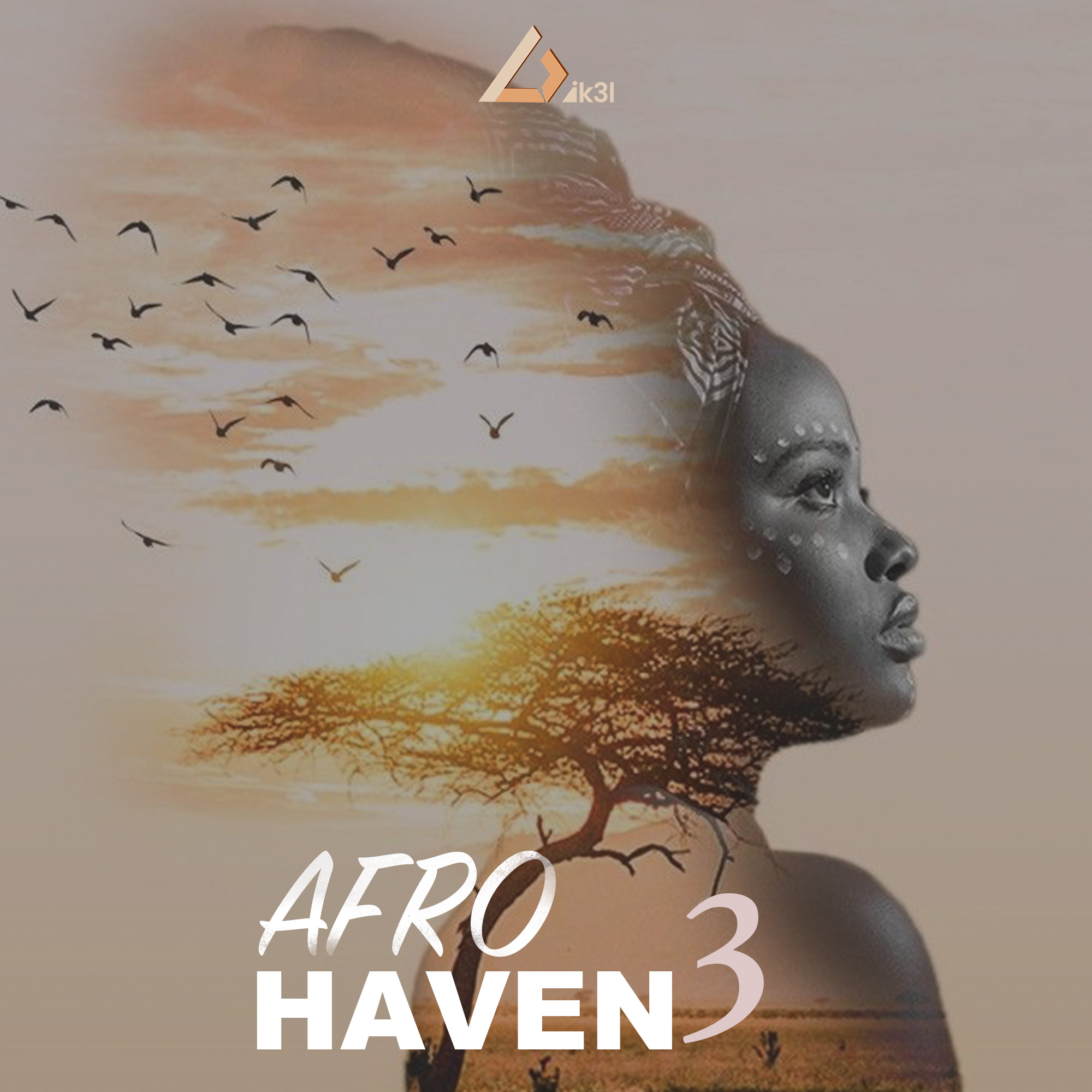Dik3l - Afro Haven III - Afrobeats Sample Pack Sample Pack - Slooply