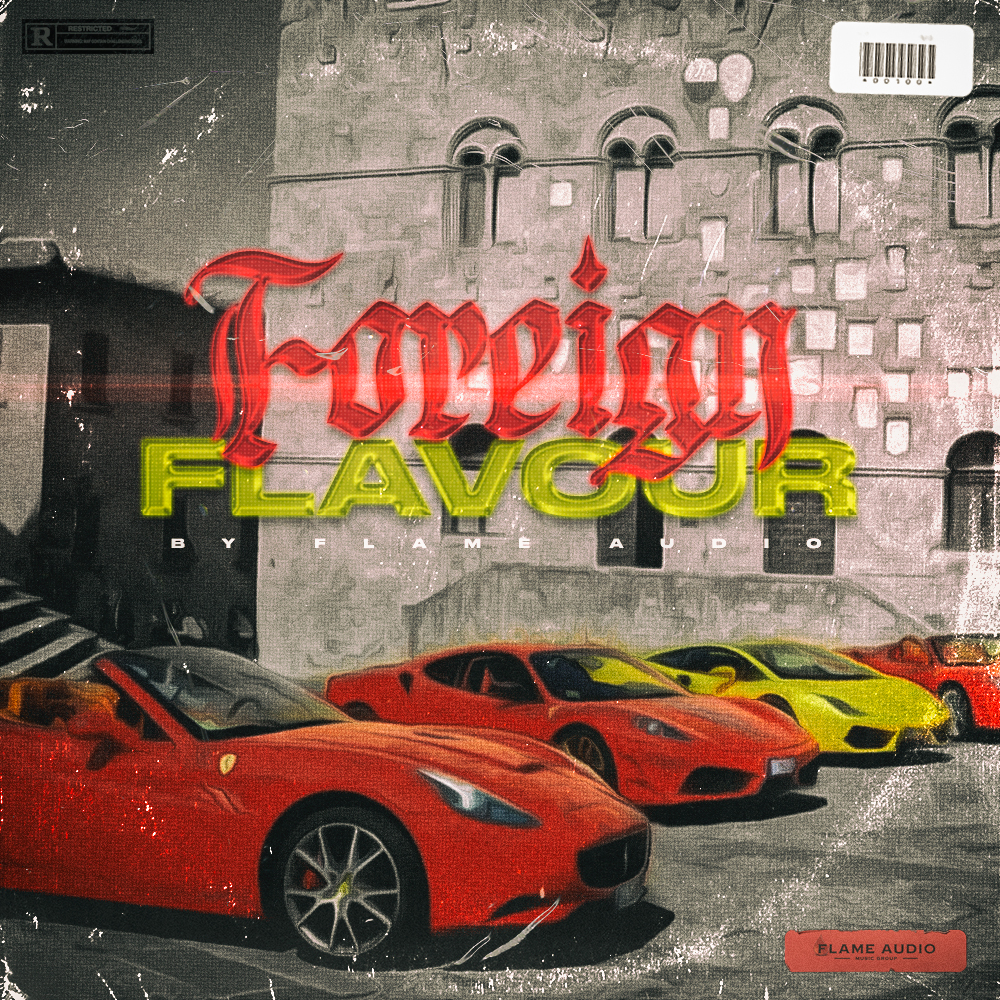 Flame Audio - Foreign Flavour Sample Pack - Slooply
