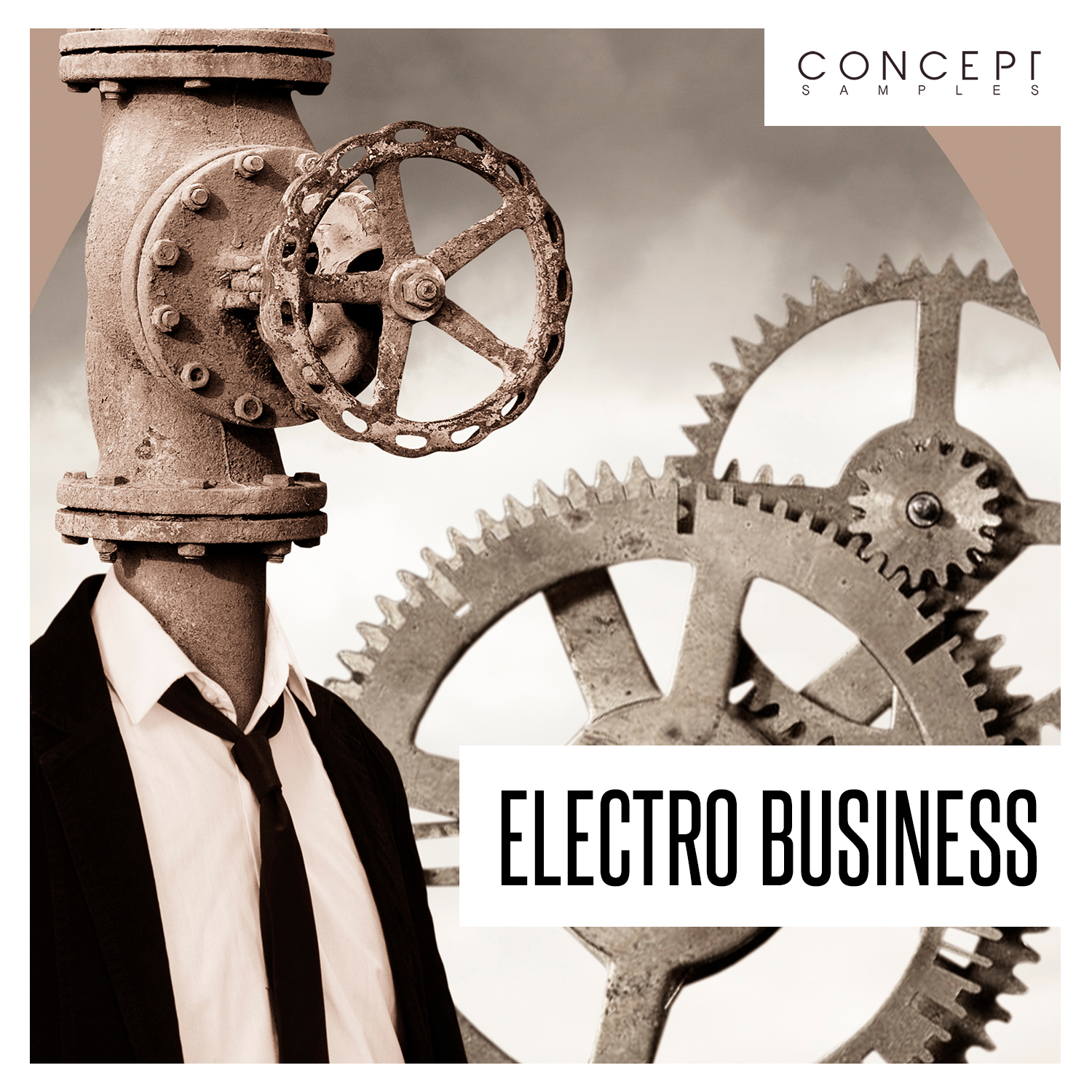 Audio Masters - Electro Business Sample Pack - Slooply