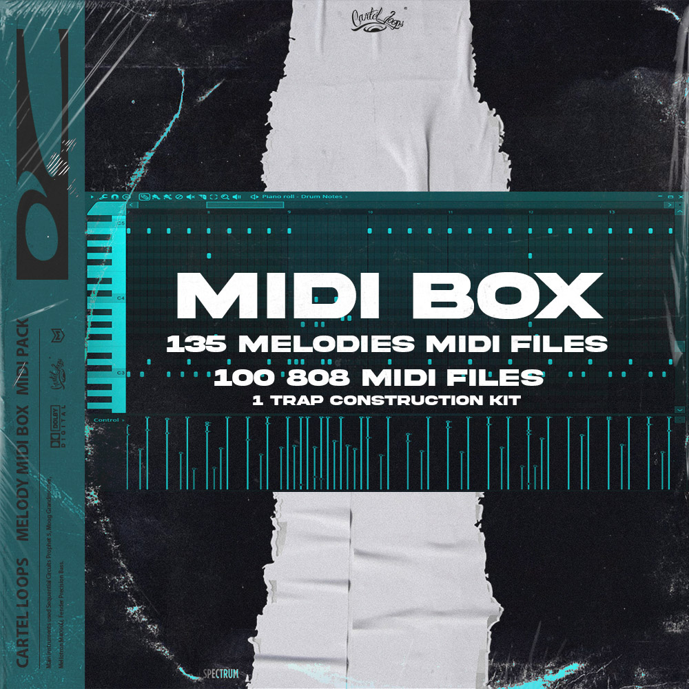 Cartel Loops - Midi Box Vol.2 Sample Pack - Slooply